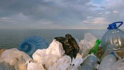 Divinia Water – SR Publications